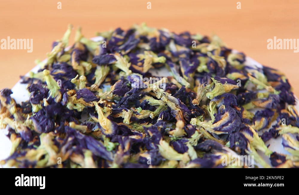 Anchan Stock Videos & Footage - HD and 4K Video Clips - Alamy