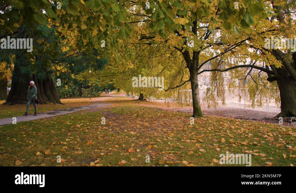 Autumn in new zealand Stock Videos & Footage - HD and 4K Video Clips ...