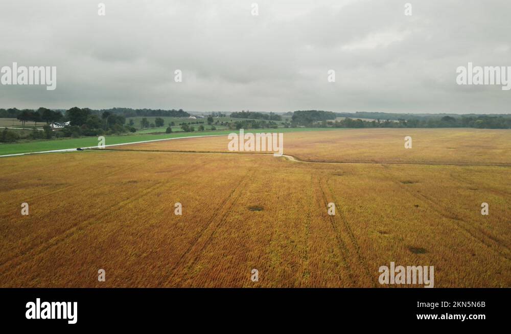 Color agriculture Stock Videos & Footage - HD and 4K Video Clips - Alamy