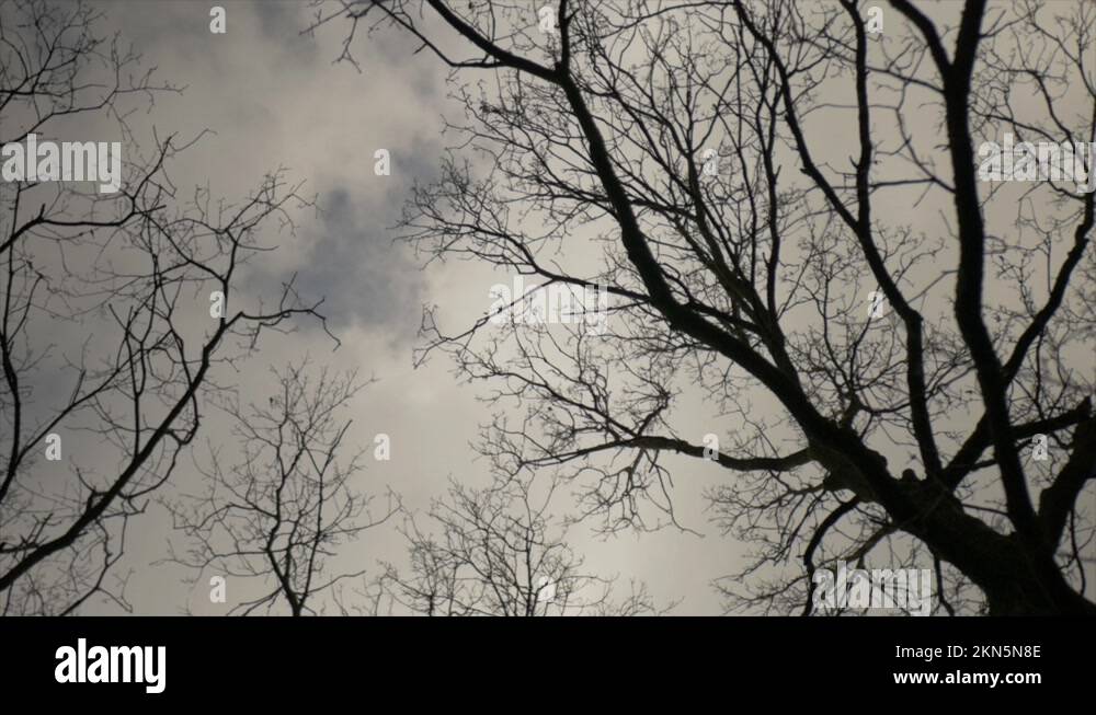 Scary vibe Stock Videos & Footage - HD and 4K Video Clips - Alamy