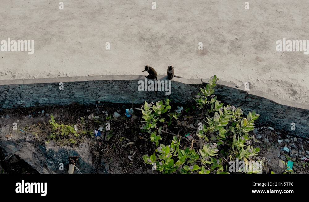 Escaping wall Stock Videos & Footage - HD and 4K Video Clips - Alamy