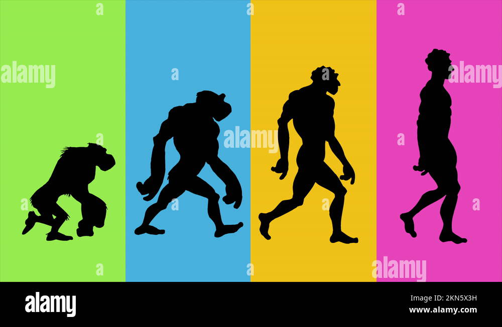 Evolution of man from ape darwin Stock Videos & Footage - HD and 4K ...