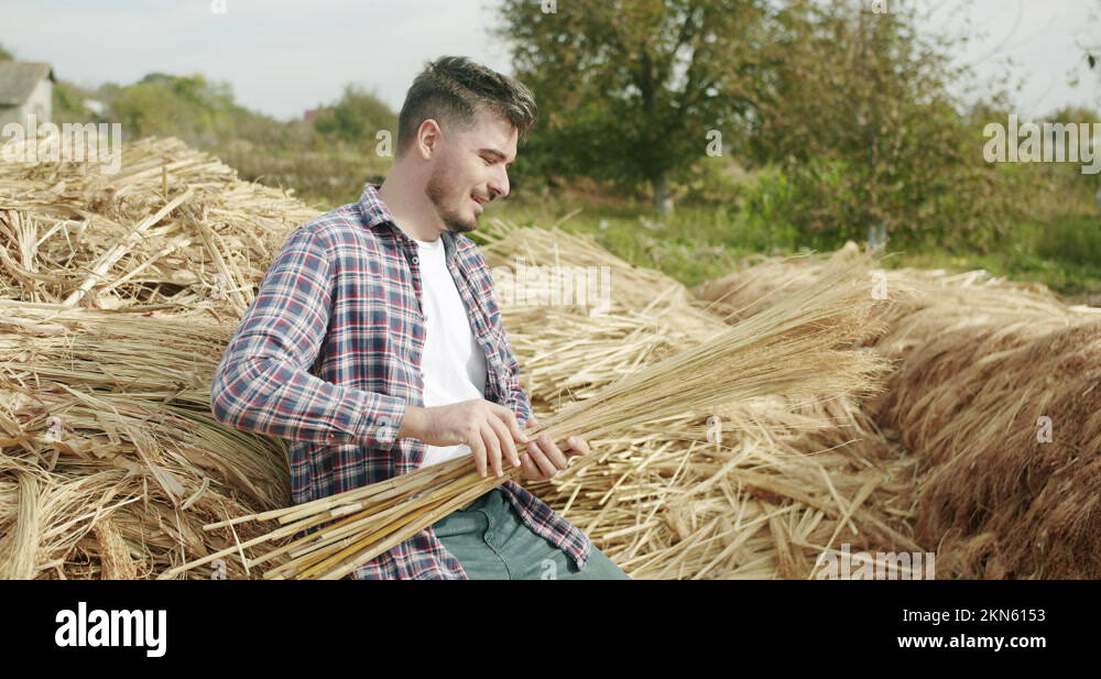 Farmer smiling and making Traditional Straw Broom with sorghum, natural ...