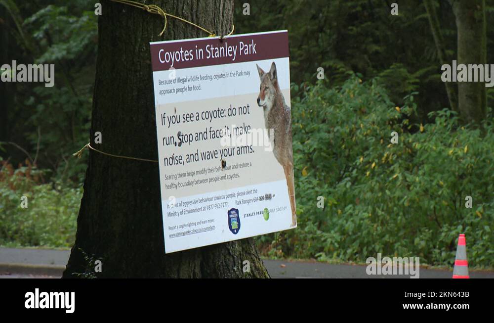 Safety signs park Stock Videos & Footage - HD and 4K Video Clips - Alamy