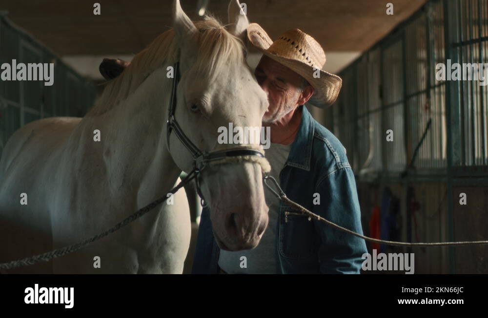 Talking to horse Stock Videos & Footage - HD and 4K Video Clips - Alamy