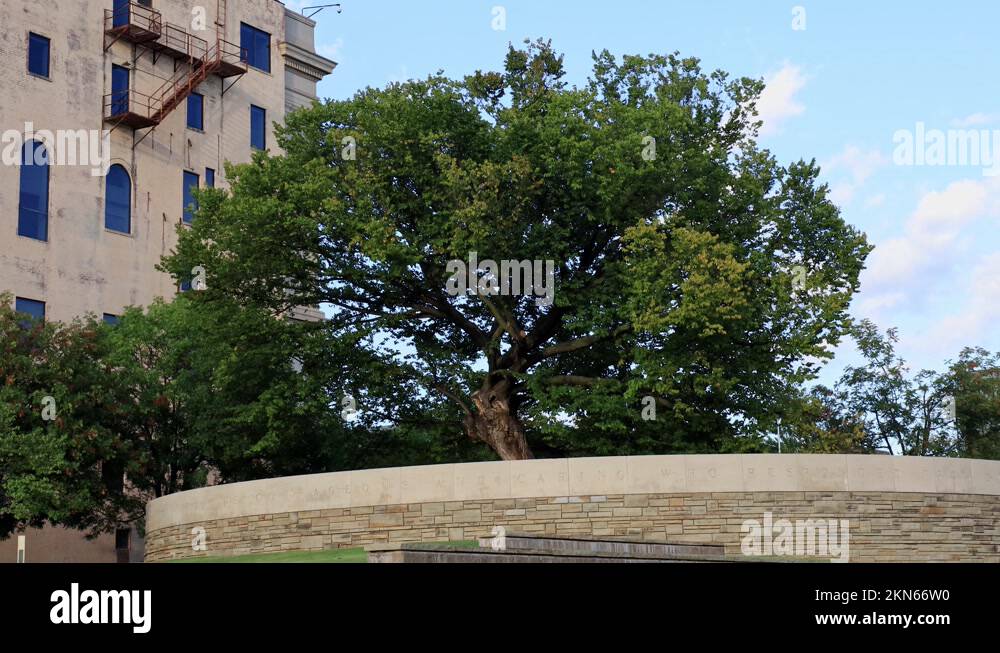 The Survivor Tree of Oklahoma City National Memorial and Museum Stock ...