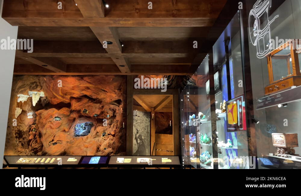 Fossils and artifacts Stock Videos & Footage - HD and 4K Video Clips ...