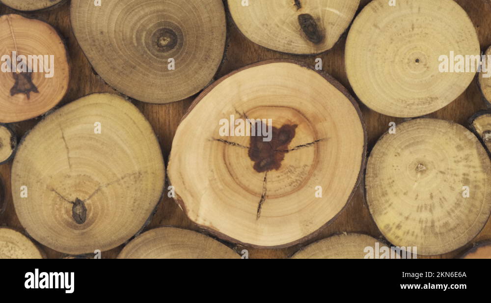 Top view cut Stock Videos & Footage - HD and 4K Video Clips - Alamy