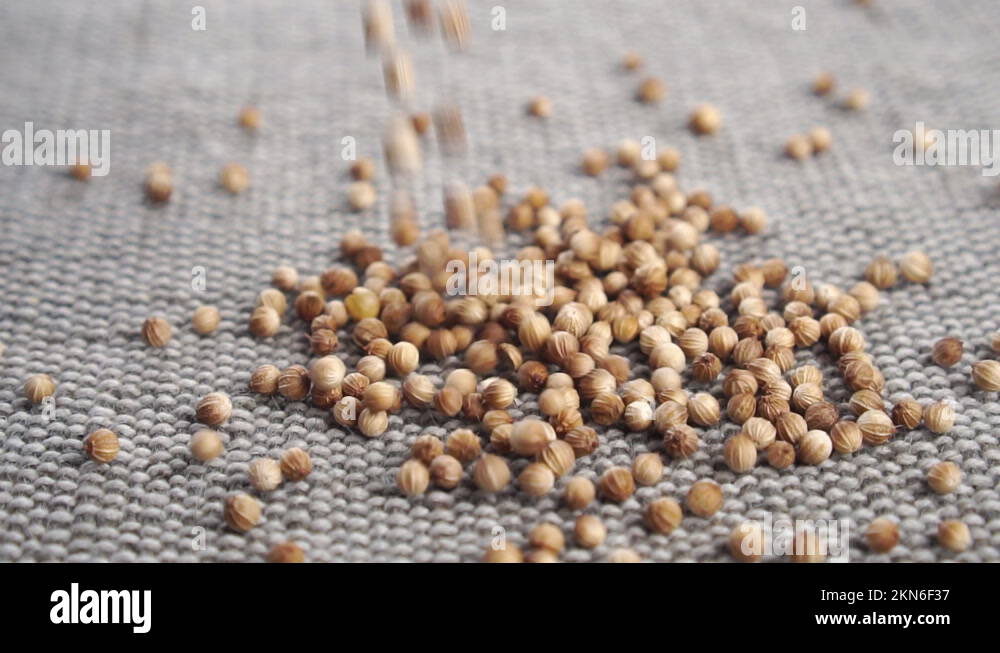 Dried coriander Stock Videos & Footage - HD and 4K Video Clips - Alamy