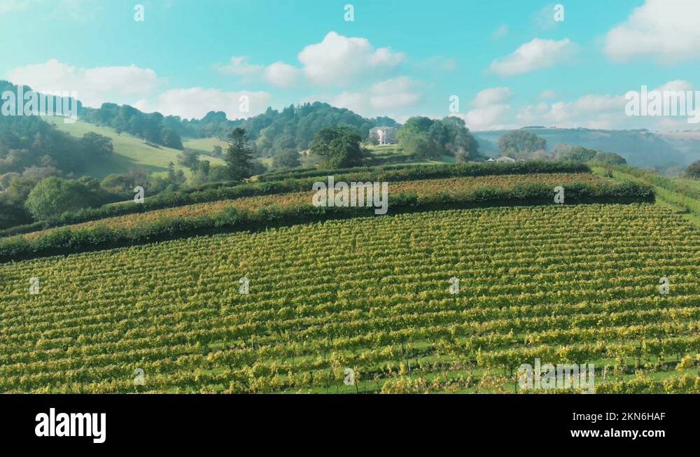 Devon green Stock Videos & Footage - HD and 4K Video Clips - Alamy