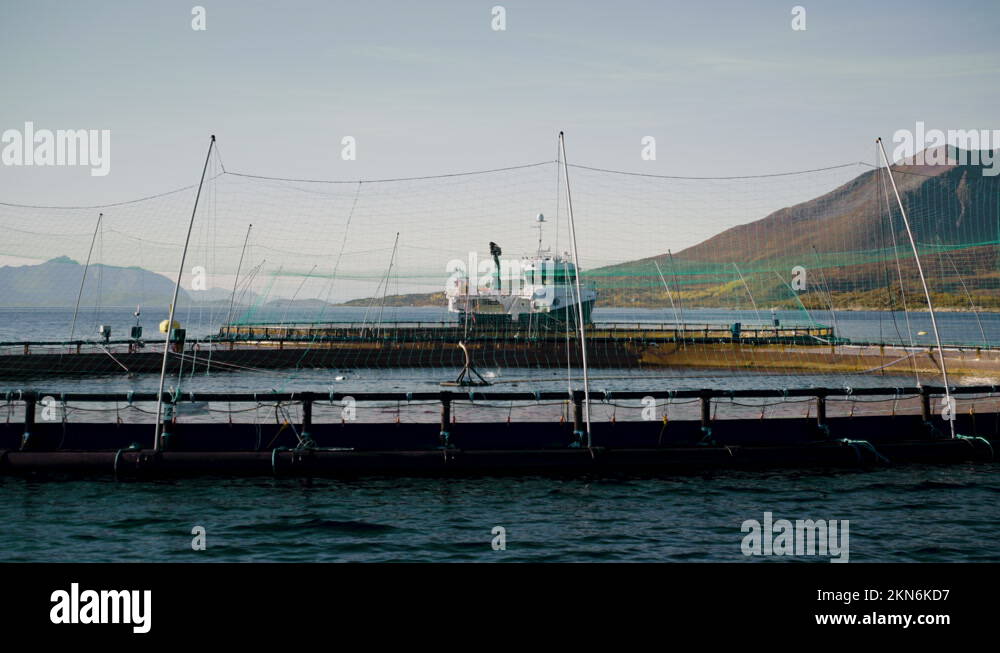 Aquaculture net Stock Videos & Footage - HD and 4K Video Clips - Alamy