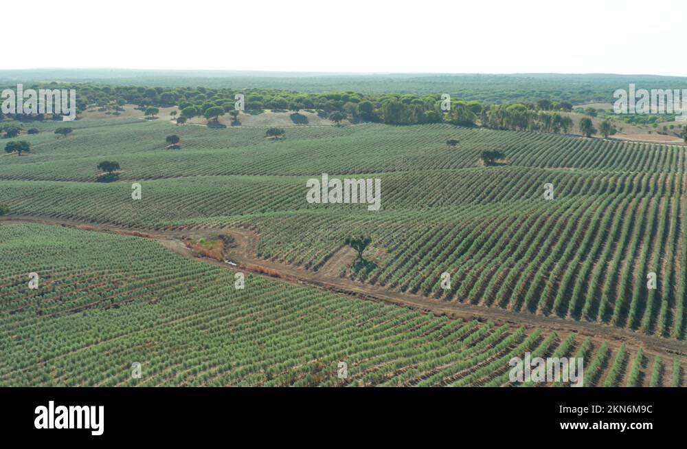 Land exploitation Stock Videos & Footage - HD and 4K Video Clips - Alamy