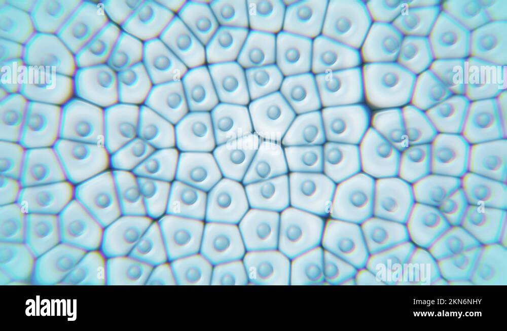 Cell colony under microscope view. Dynamic microbiology concept ...