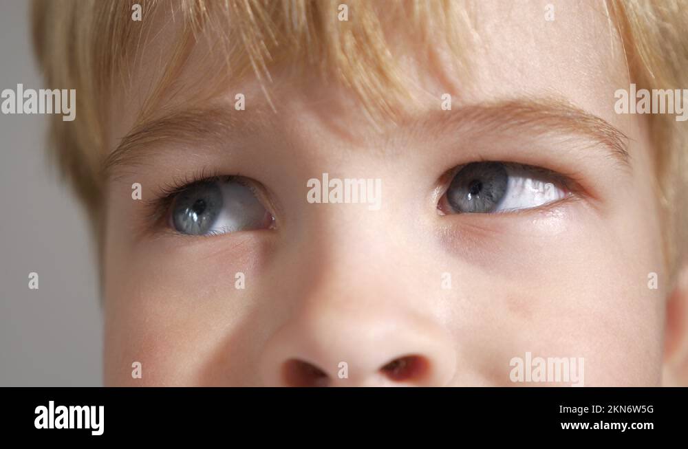 Close-up Child Blue Eyes Kid Boy Face Pupil Cornea Iris Eyeball Eyelash ...
