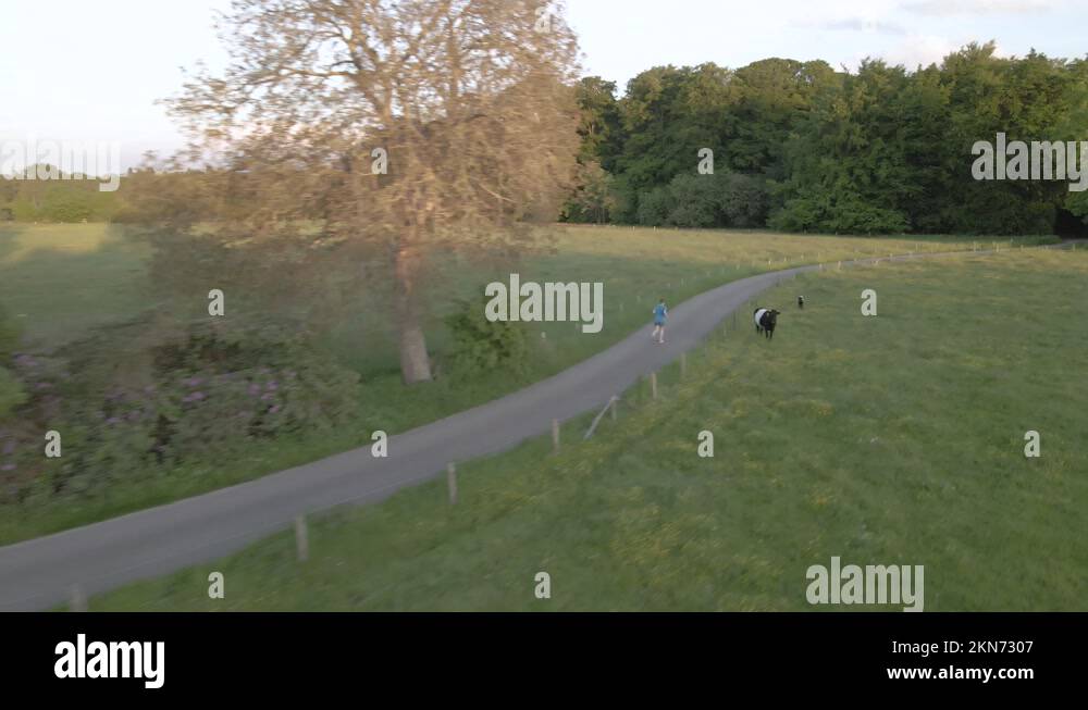 Utrecht countryside Stock Videos & Footage - HD and 4K Video Clips - Alamy