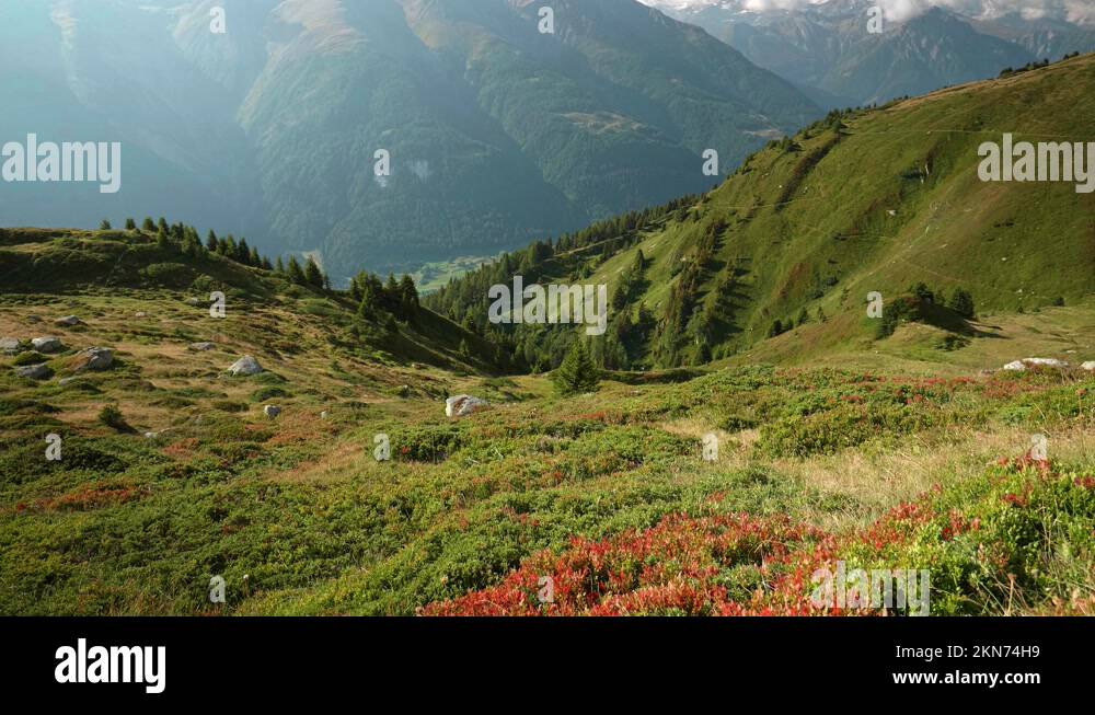 Swiss movement Stock Videos & Footage - HD and 4K Video Clips - Alamy