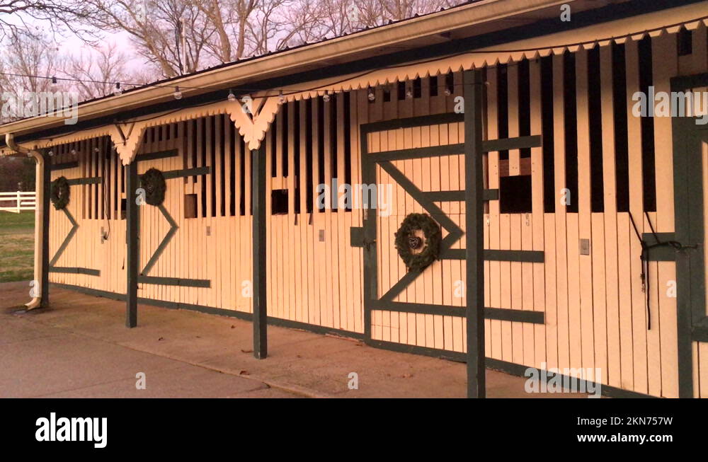 Beautiful wooden horse stables at golden hour. Cream colored barn with ...