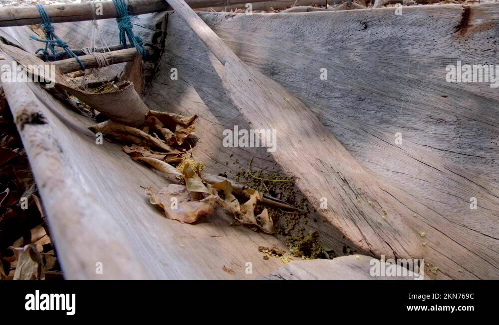 Traditional canoe paddle Stock Videos & Footage - HD and 4K Video Clips ...