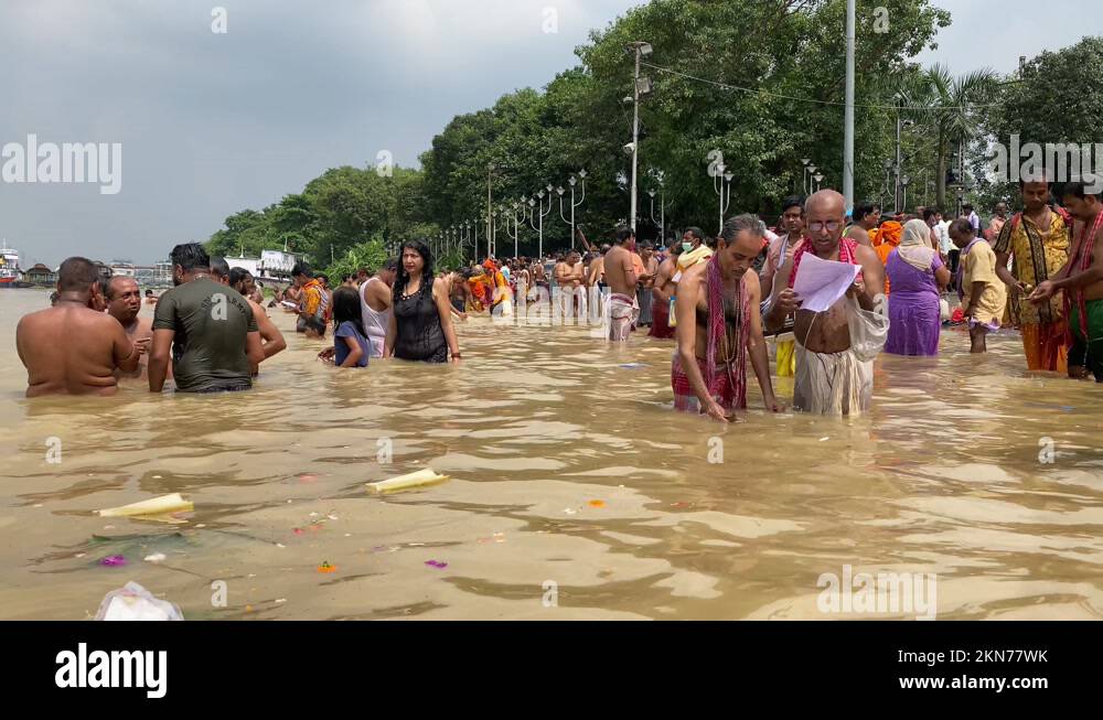 Preyer Stock Videos & Footage - HD and 4K Video Clips - Alamy