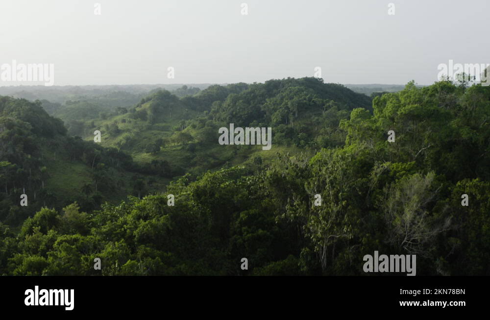 Drone Descending On Sheltered Forest In Island Of Los Haitises National ...