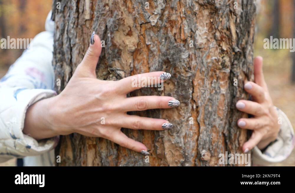 Wide tree trunk Stock Videos & Footage - HD and 4K Video Clips - Alamy