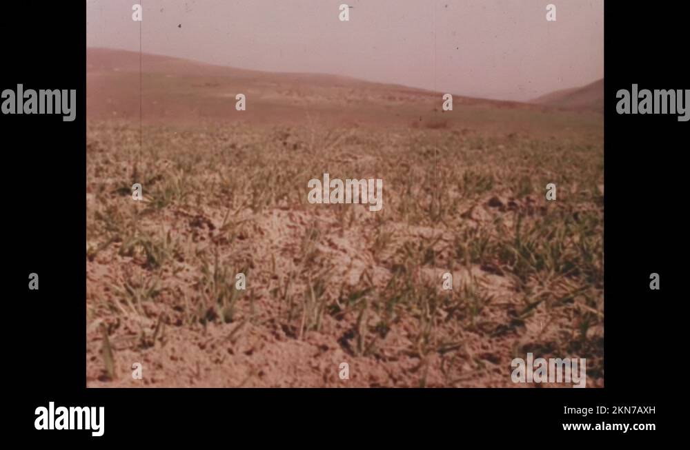 Dirt farmer Stock Videos & Footage - HD and 4K Video Clips - Alamy