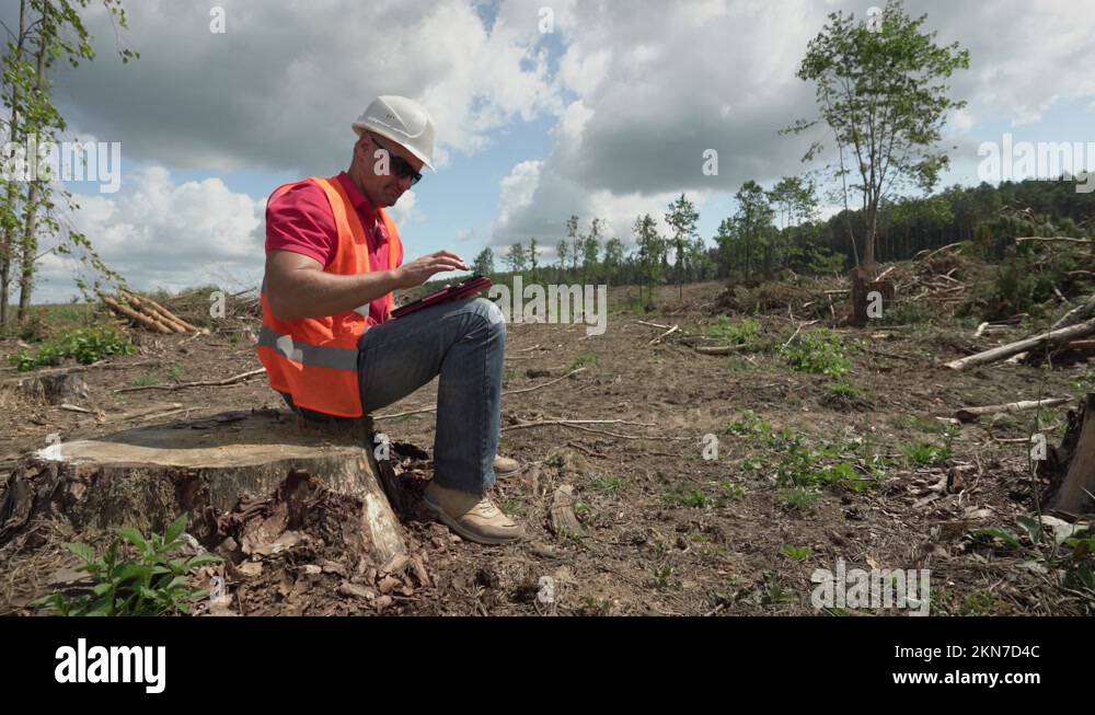 Logging male Stock Videos & Footage - HD and 4K Video Clips - Alamy