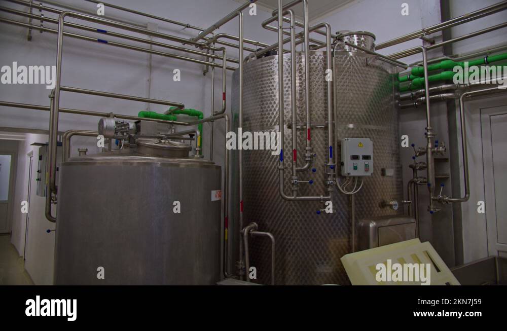 Small factory processing dairy products. Bio dairy farm. Foamy milk ...