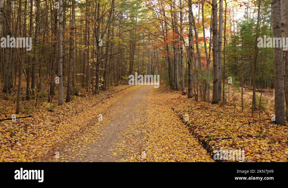 Midwest fall road Stock Videos & Footage - HD and 4K Video Clips - Alamy