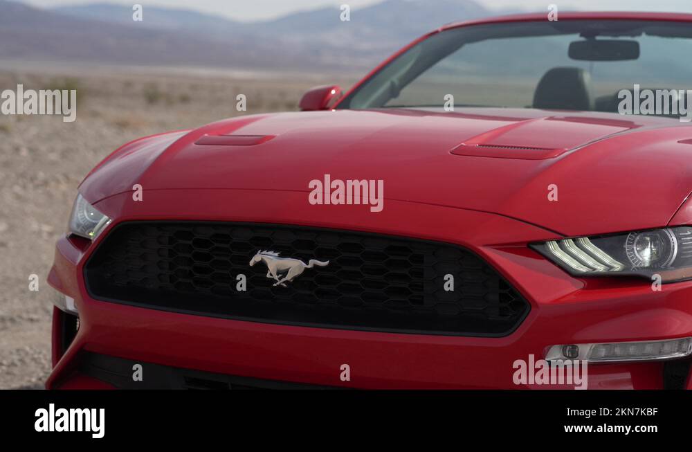 Ford mustang horse Stock Videos & Footage - HD and 4K Video Clips - Alamy