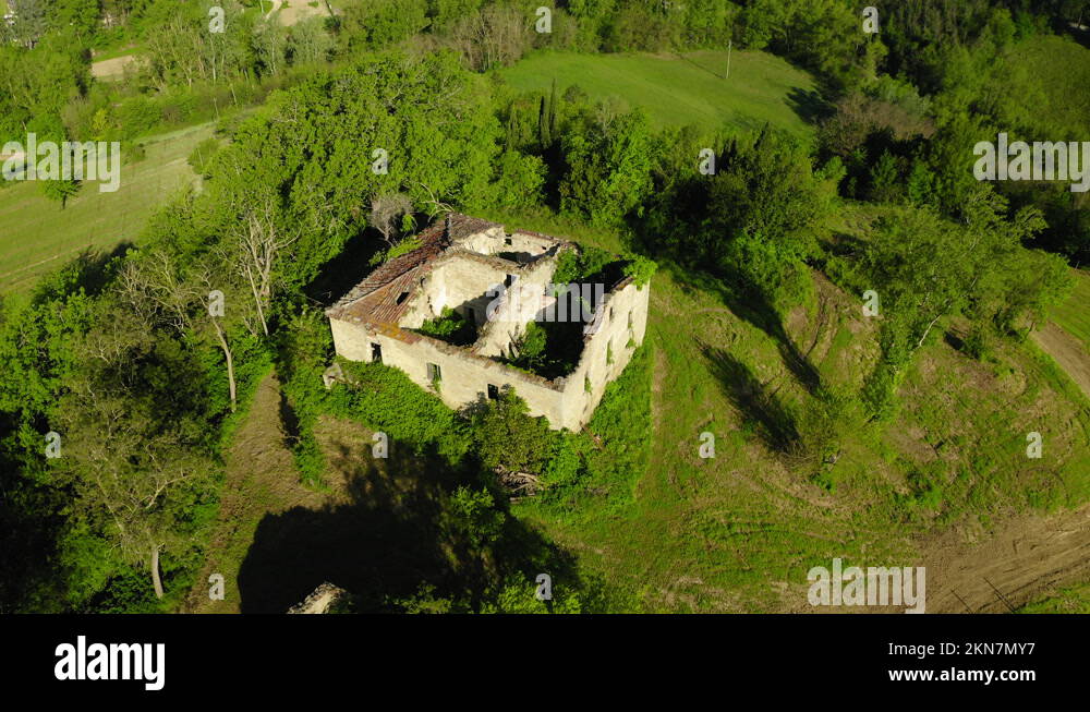 Plants growth structure Stock Videos & Footage - HD and 4K Video Clips ...