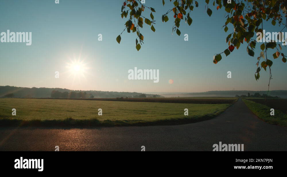 Overlooking tree farm Stock Videos & Footage - HD and 4K Video Clips ...