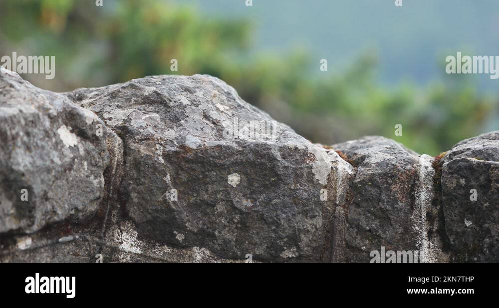 Rugged wall background Stock Videos & Footage - HD and 4K Video Clips ...