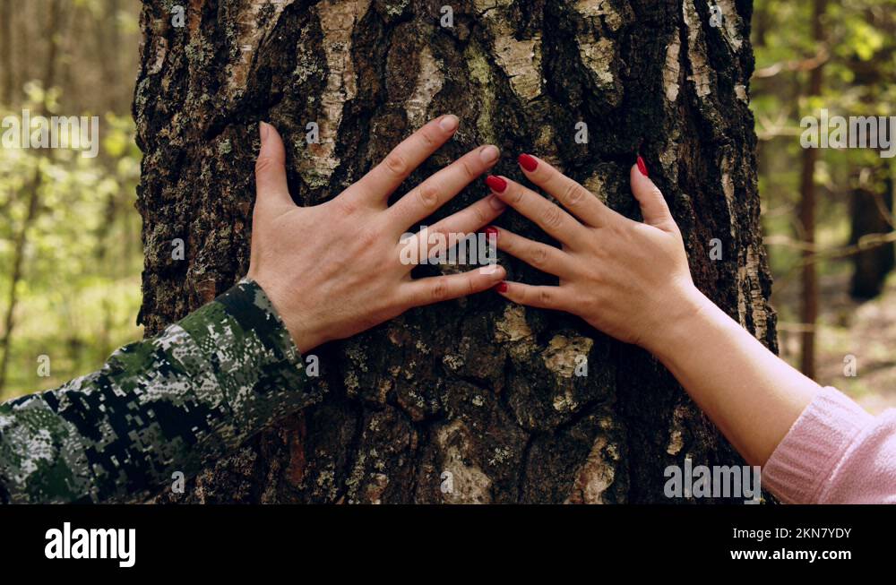 Man and woman Arms touching a Tree In a Forest, showing Love and Care ...