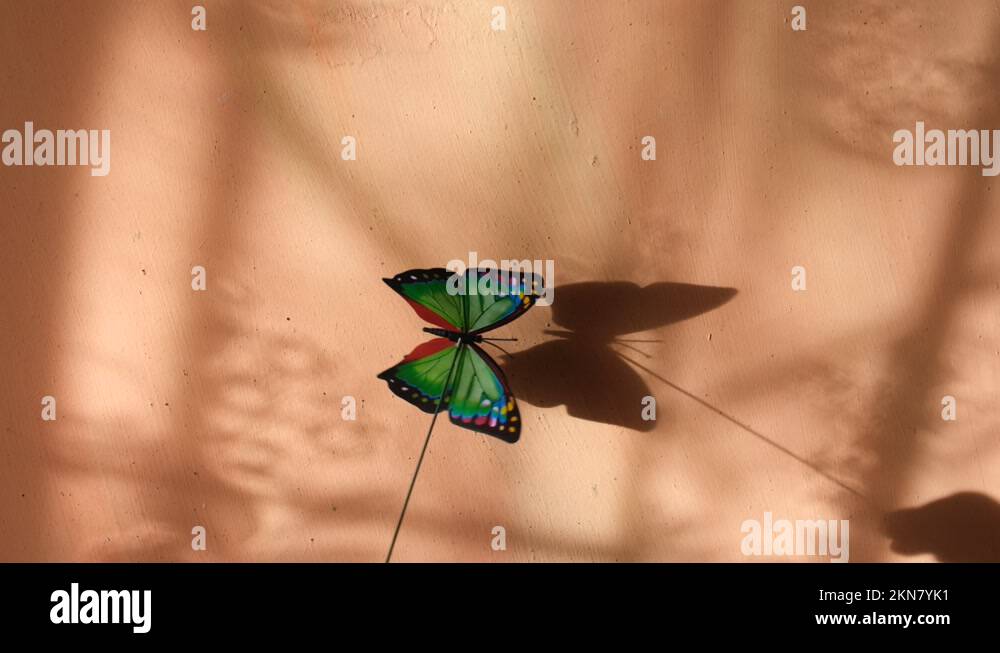 Butterfly toy Stock Videos & Footage - HD and 4K Video Clips - Alamy
