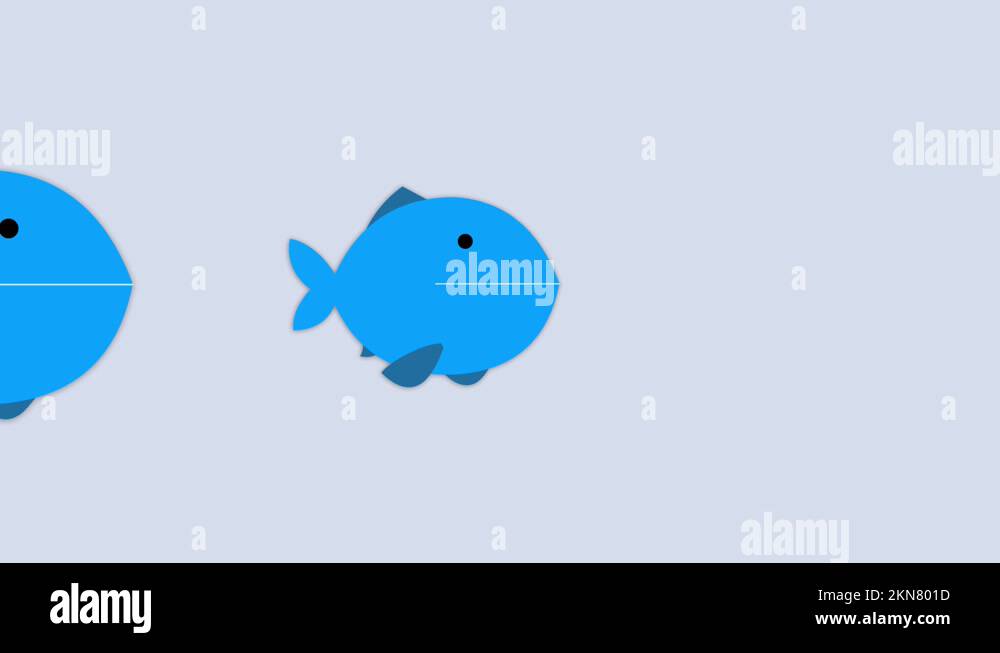 Little fish cartoon Stock Videos & Footage - HD and 4K Video Clips - Alamy
