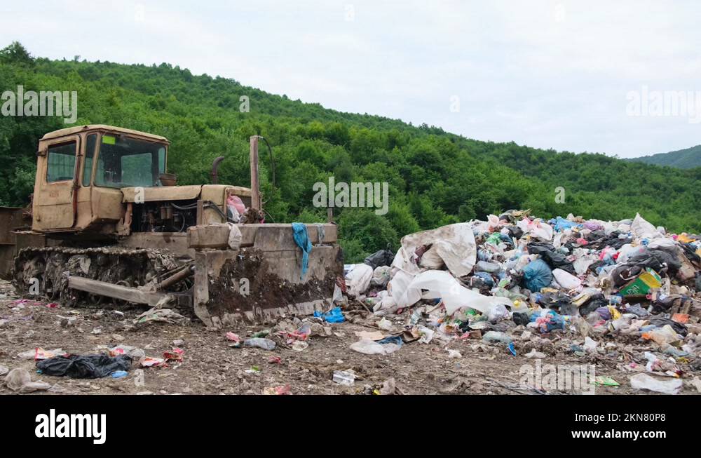 Animal salvage Stock Videos & Footage - HD and 4K Video Clips - Alamy