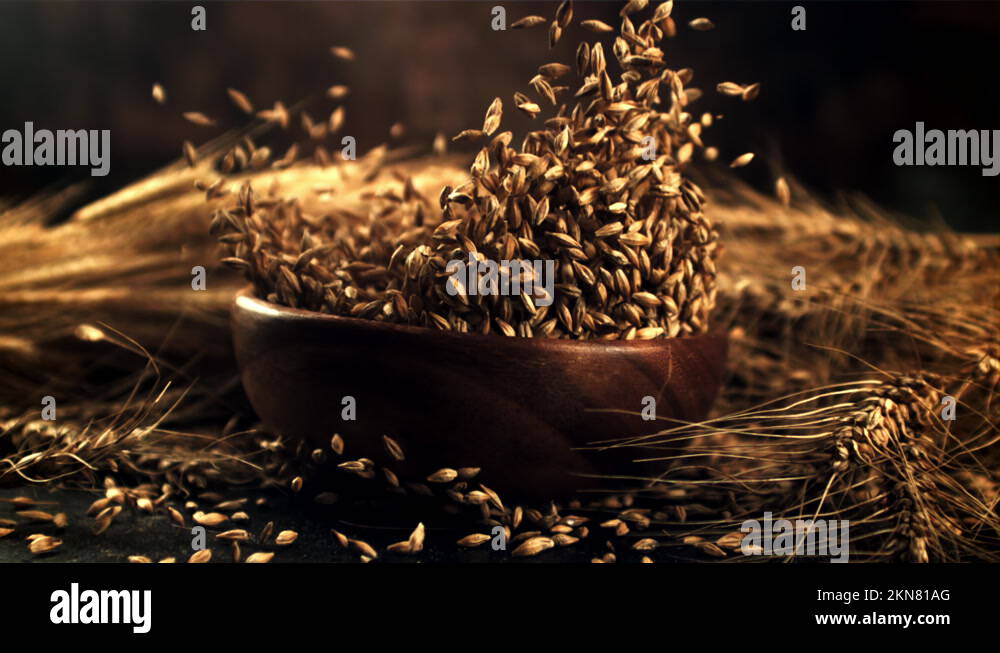Super slow motion plate of barley grains falls on the table. Filmed on ...
