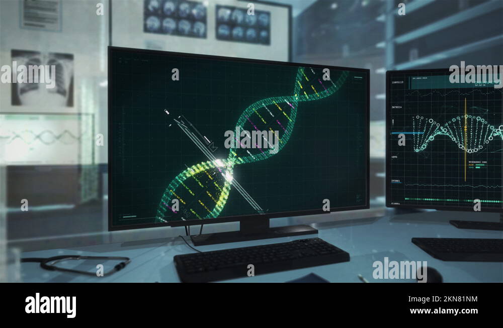 Evolution of human Stock Videos & Footage - HD and 4K Video Clips - Alamy