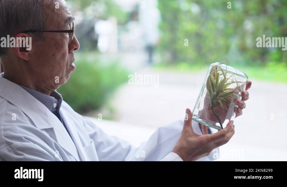 Science specimen Stock Videos & Footage - HD and 4K Video Clips - Alamy