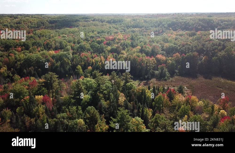 Canada colours Stock Videos & Footage - HD and 4K Video Clips - Alamy