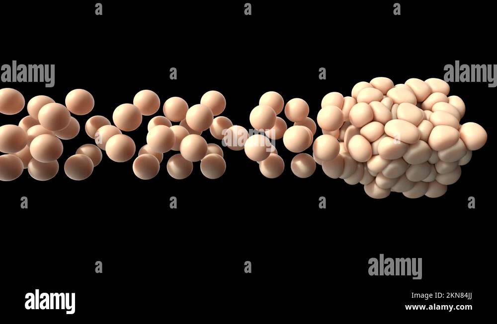 Fat anatomy Stock Videos & Footage - HD and 4K Video Clips - Alamy