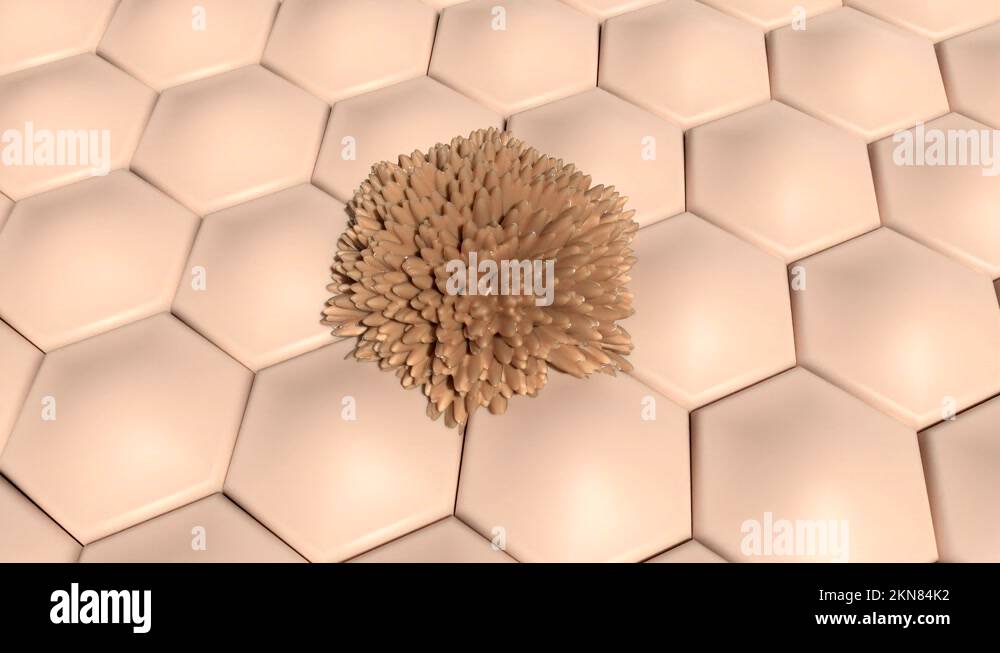 Human cancer cell Stock Videos & Footage - HD and 4K Video Clips - Alamy