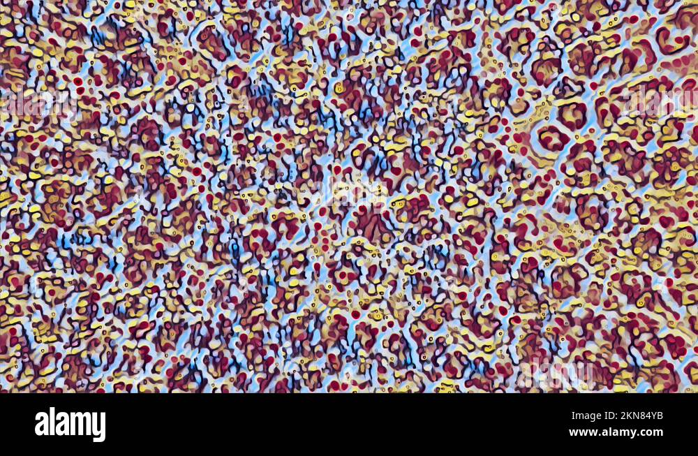 Different and multicolored cells are flowing under microscope Stock ...