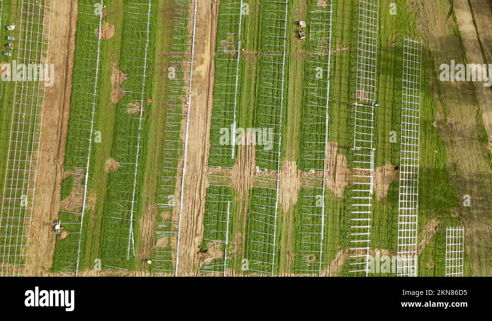 Solar Panel Racks Being Installed At The Farm. Solar Farm Construction ...