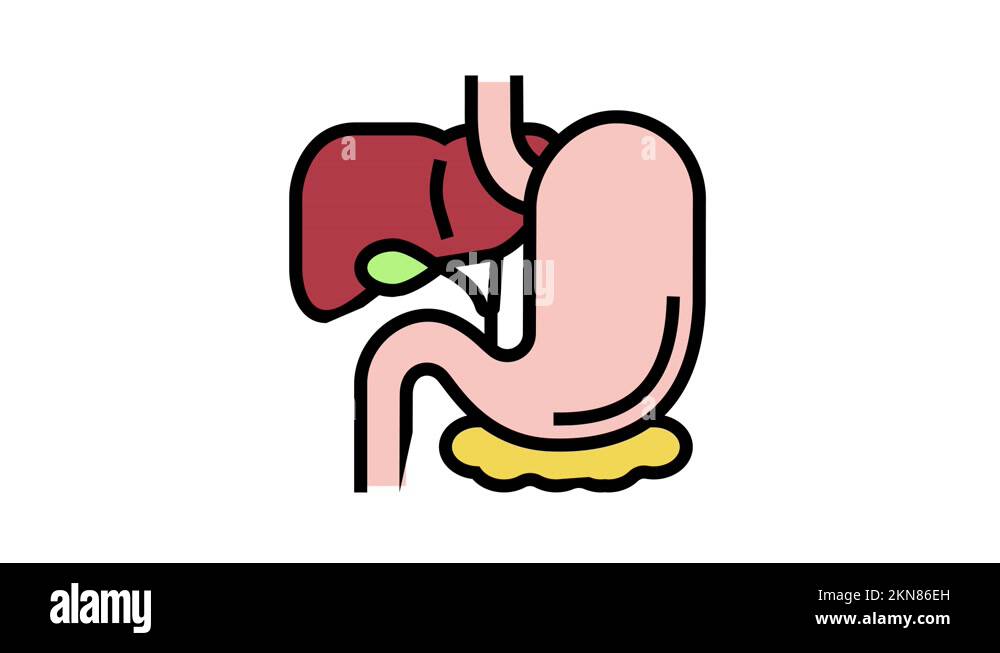 Gastrointestinal tract Stock Videos & Footage - HD and 4K Video Clips ...