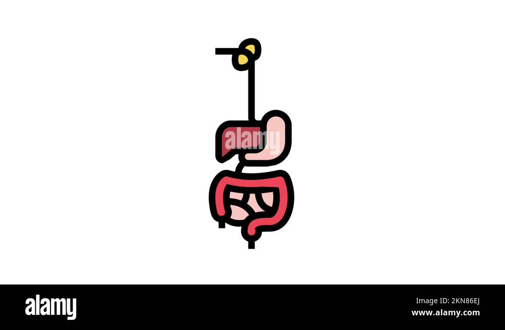 Digestive system bacteria Stock Videos & Footage - HD and 4K Video ...