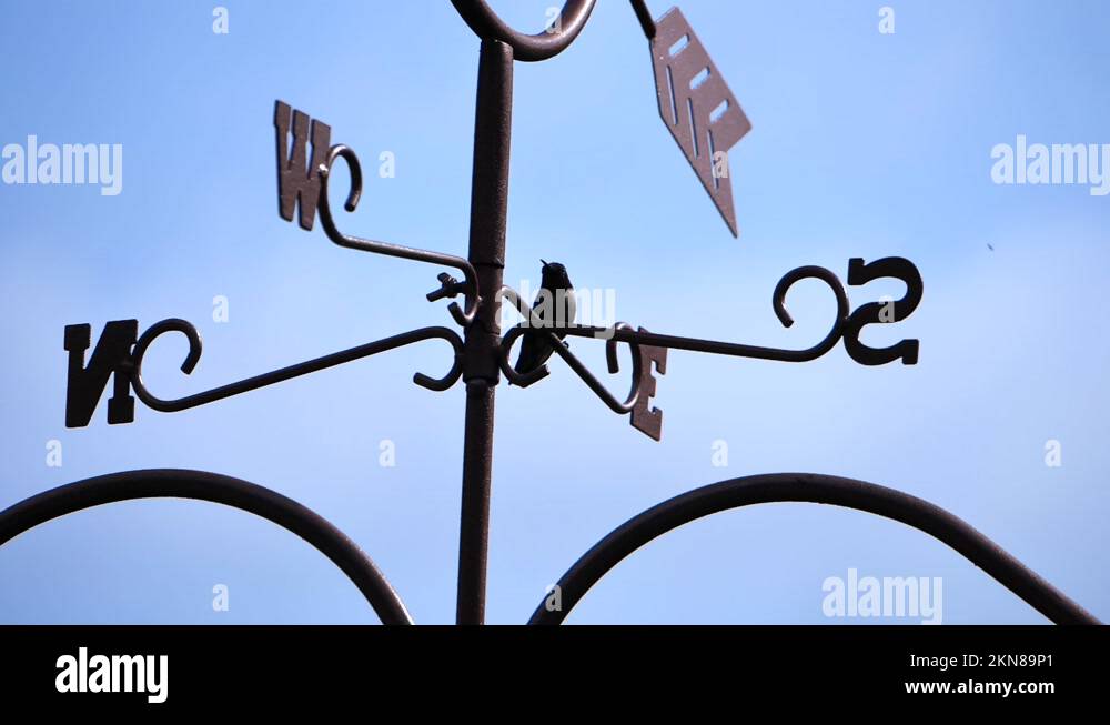 Compass directions Stock Videos & Footage - HD and 4K Video Clips - Alamy