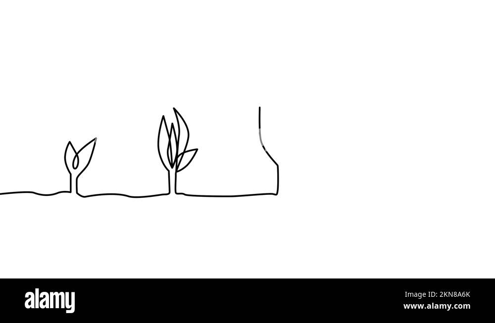 plant growing line art doodle draw process whiteboard symbol sign ...