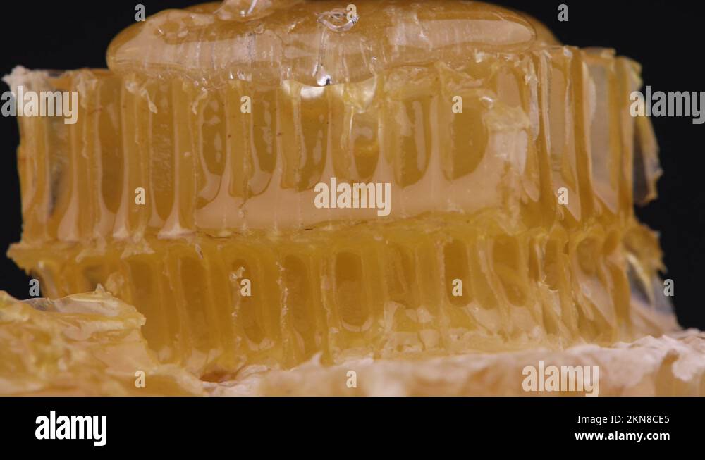 Honey combs Stock Videos & Footage - HD and 4K Video Clips - Alamy